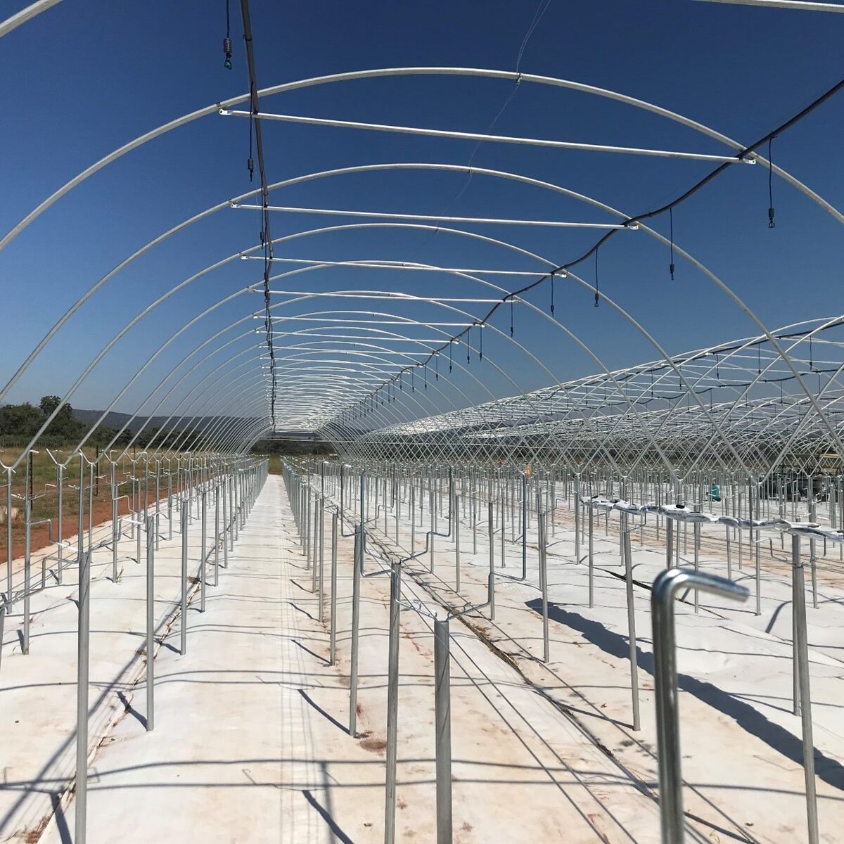 Advanced Polytunnels – Osprey Tunnels