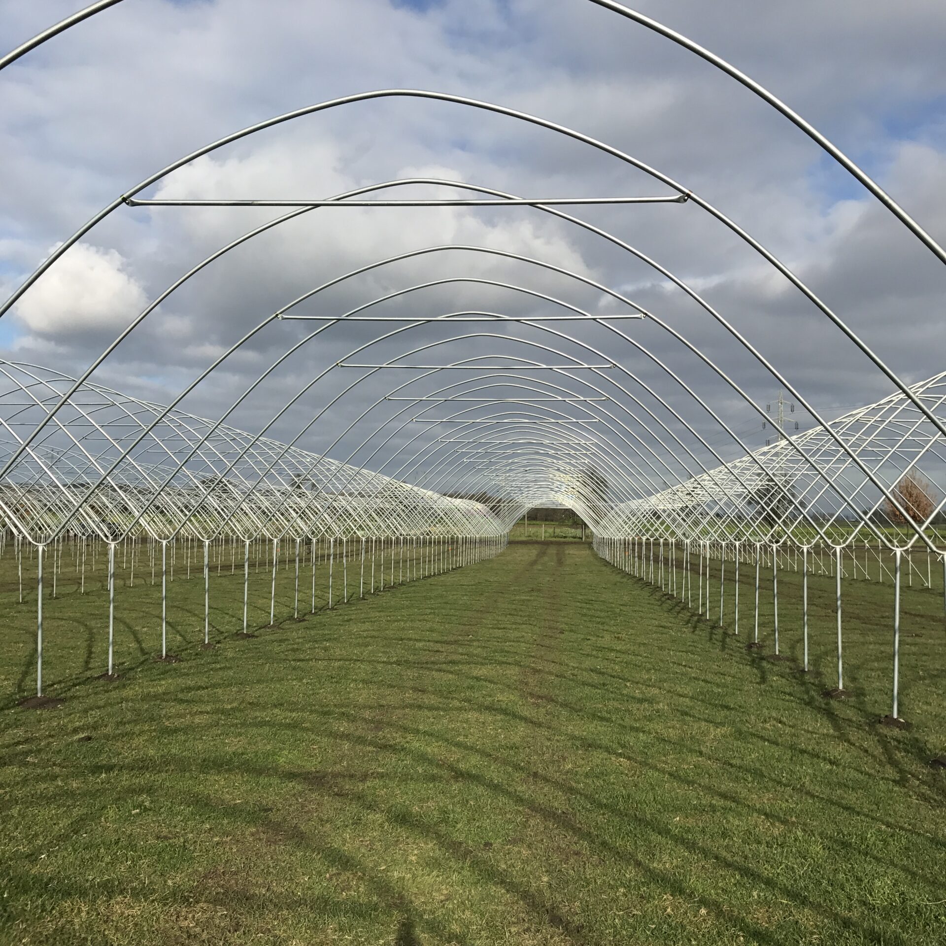 Advanced Polytunnels – Osprey Tunnels