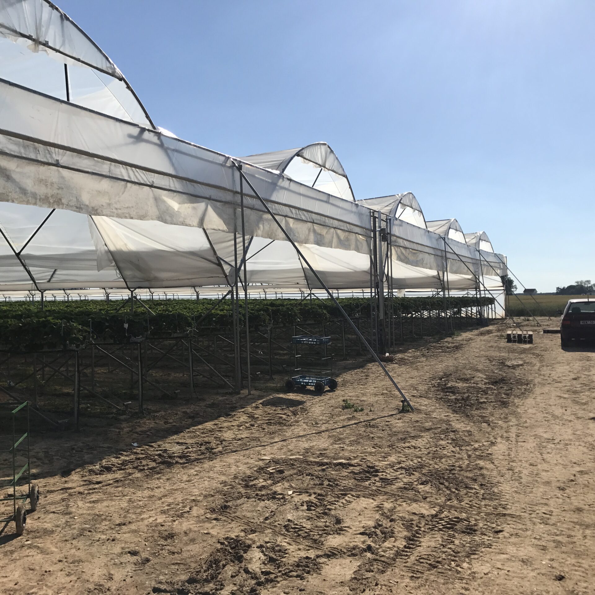 Advanced Polytunnels – Osprey Tunnels