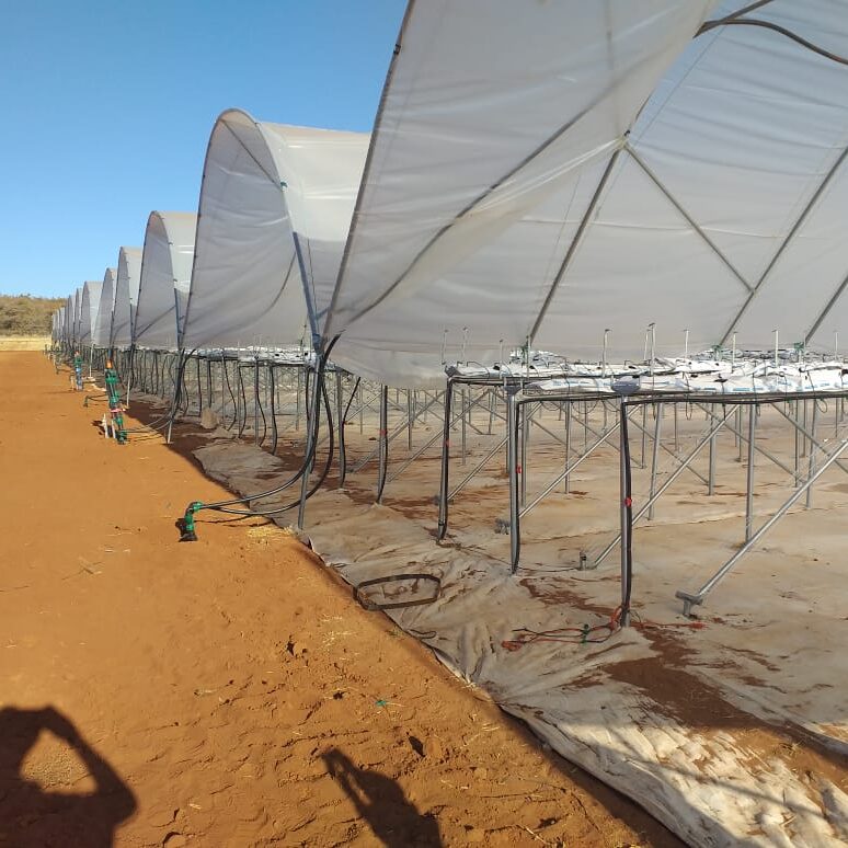 Substrate Teal Table Top Systems – Osprey Tunnels