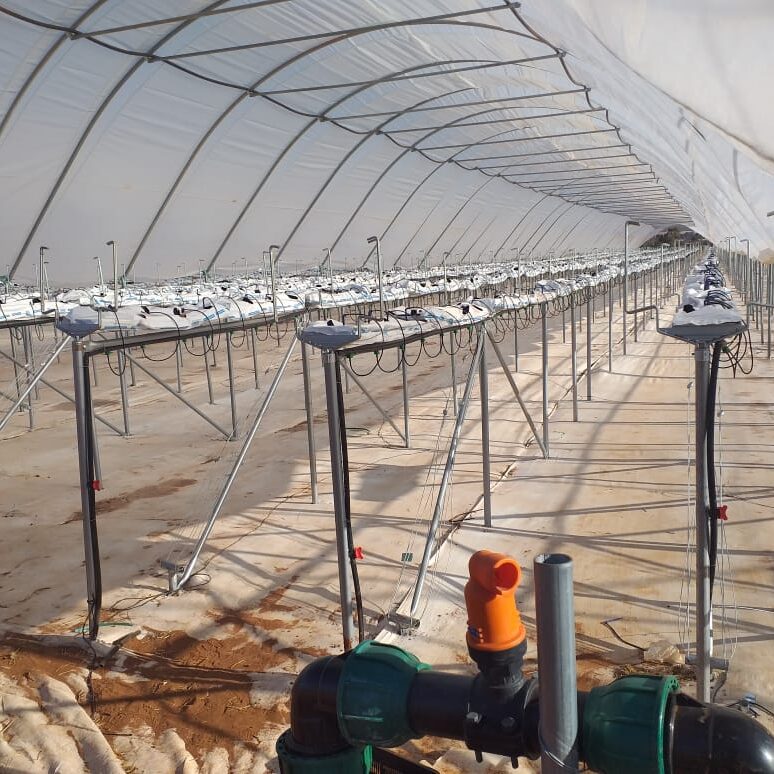 Substrate Teal Table Top Systems – Osprey Tunnels