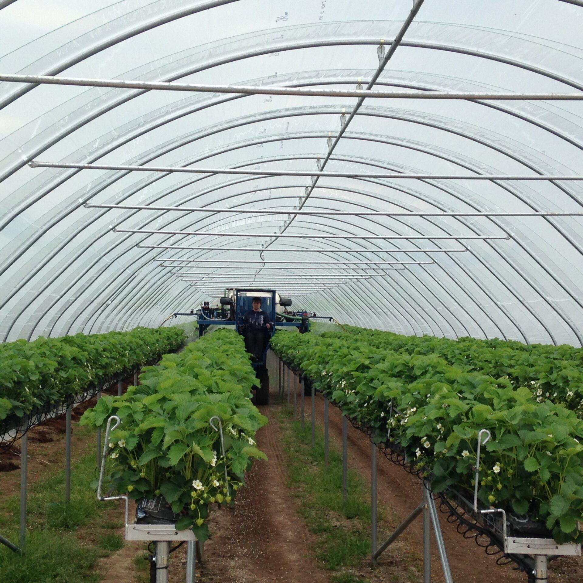 Substrate Teal Table Top Systems – Osprey Tunnels